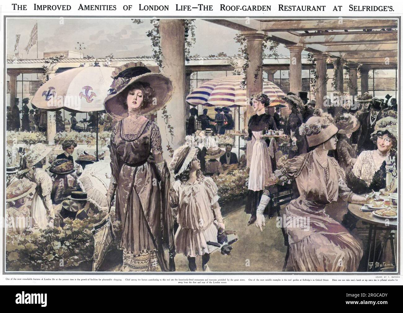 Selfridges Roof Garden