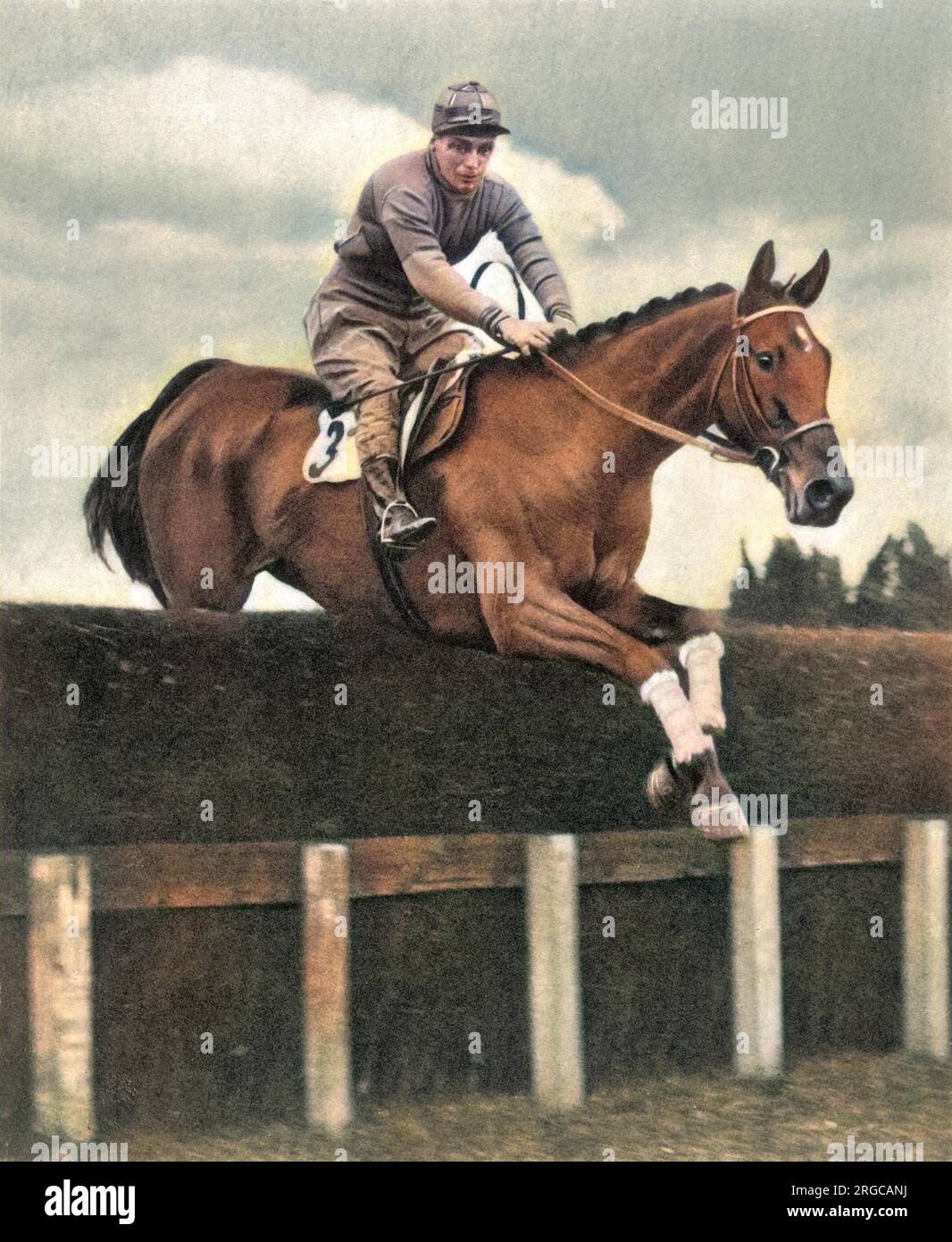 Golden miller gold cup hi-res stock photography and images - Alamy