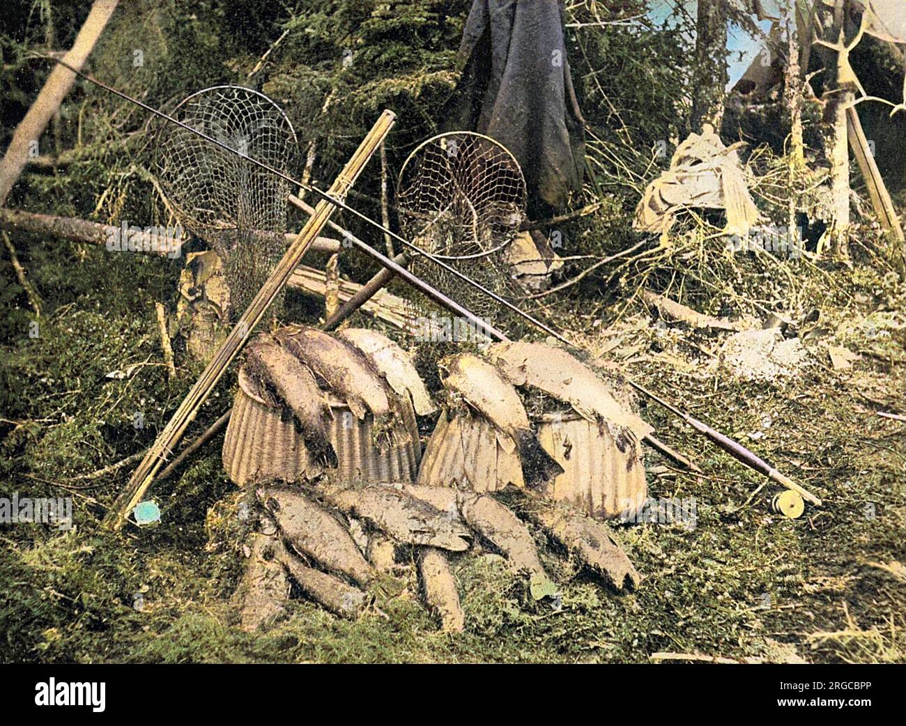 Newfoundland, Canada - A Catch of Salmon and associated angling tackle ...