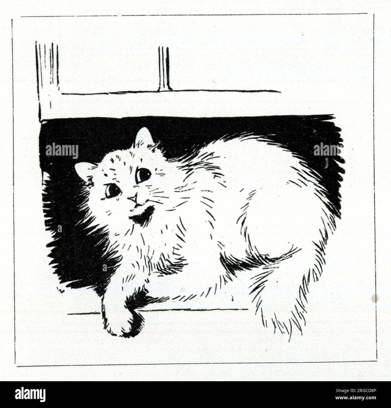 Window cats Cut Out Stock Images & Pictures - Alamy