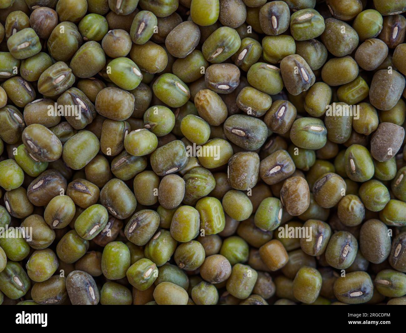 Pile of dried green organic mungo beans. Overhead shot Stock Photo - Alamy