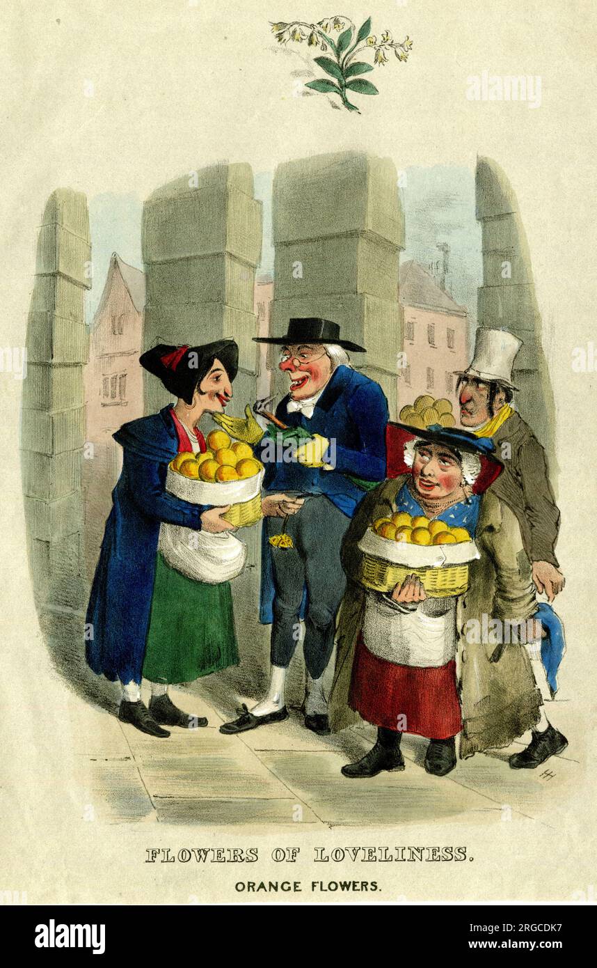 Georgian cartoon, Flowers of Loveliness, Orange Flowers, by Henry Heath ...