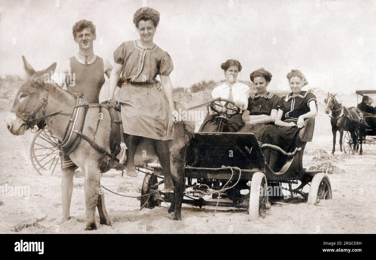 Looking after a donkey hi-res stock photography and images - Alamy