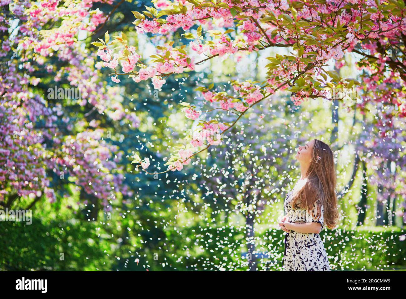 Beautiful girl in cherry blossom garden on a spring day, flower petals ...