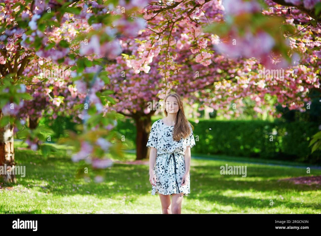 Beautiful young woman enjoying sunny day in park during cherry blossom ...