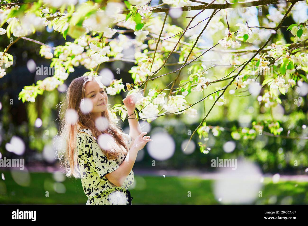Beautiful girl in cherry blossom garden on a spring day, flower petals ...