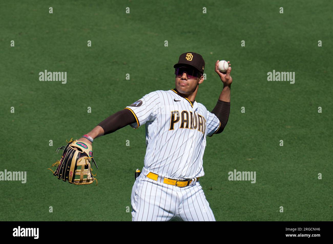 San Diego Padres left fielder Juan Soto during the seventh inning of a ...