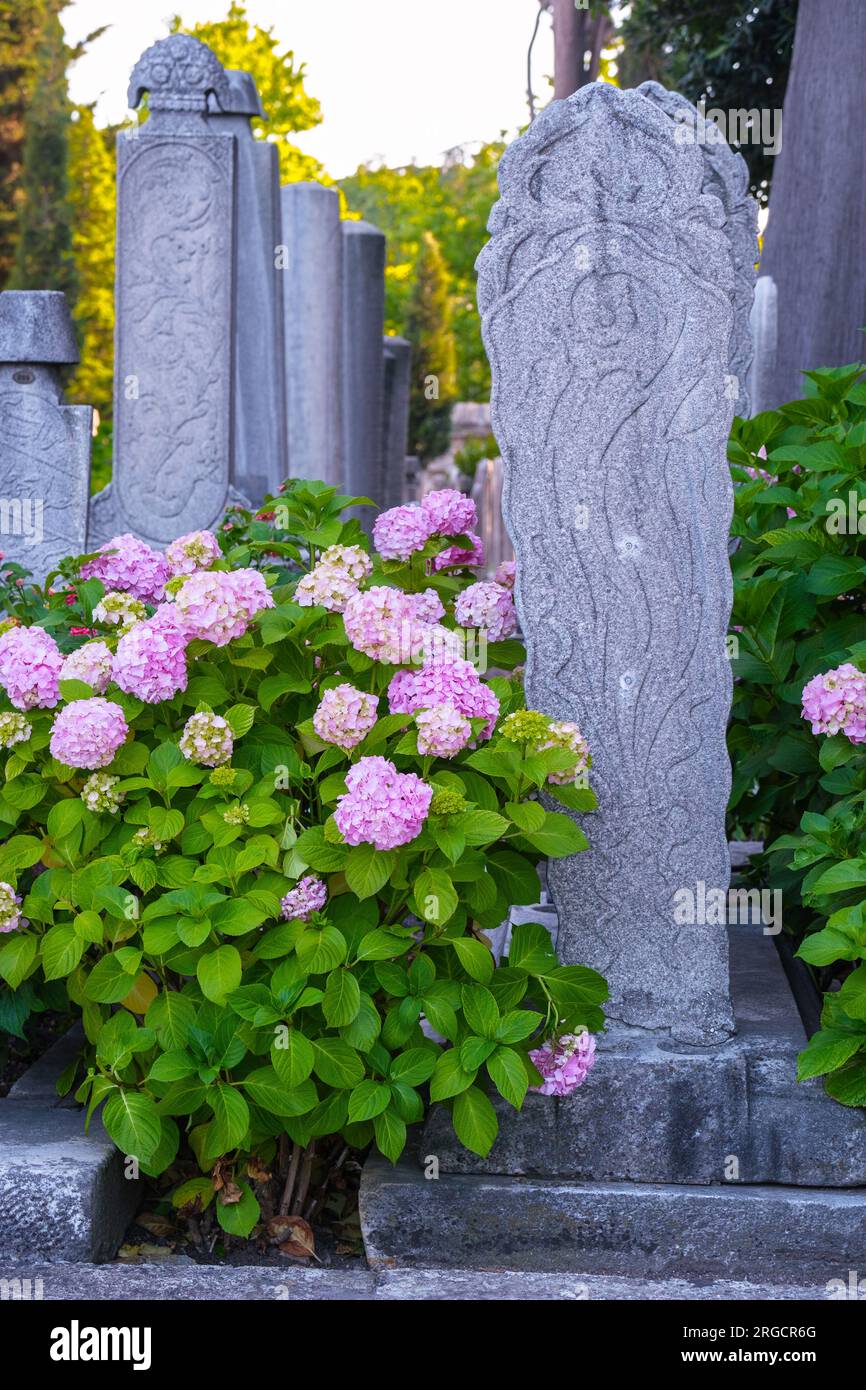 Istanbul, Turkey, Turkiye. Tombstones in the Graveyard Adjacent to the ...