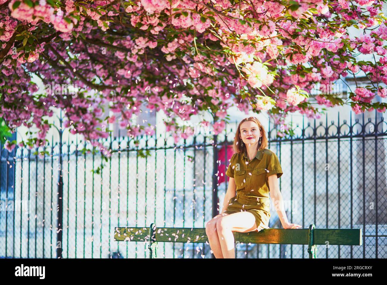 Beautiful French woman walking in Paris on a spring day at cherry ...
