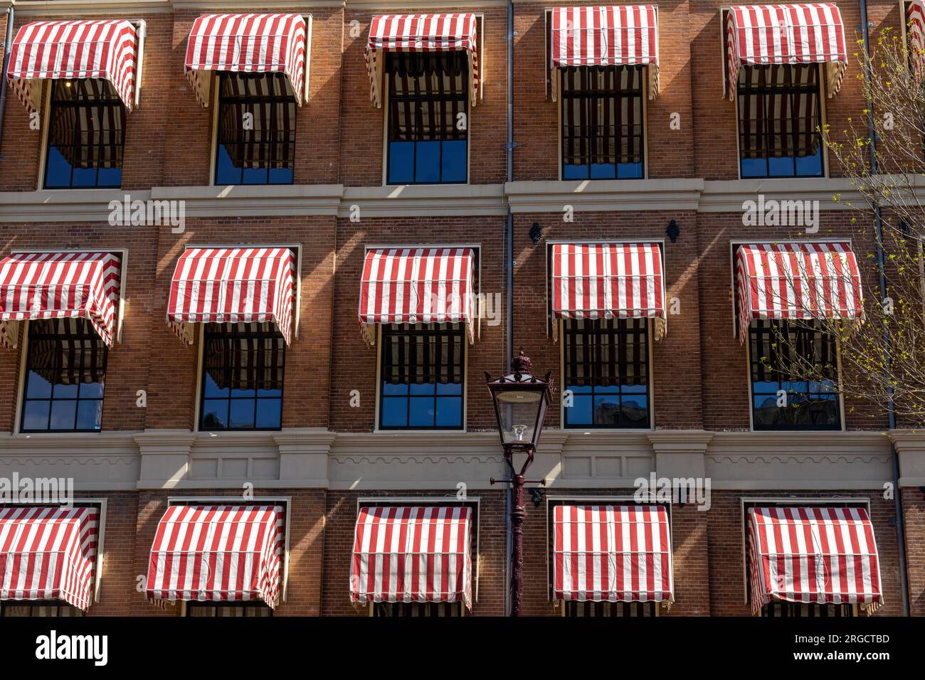 Rows and columns of flats with windows and uniform red and white ...