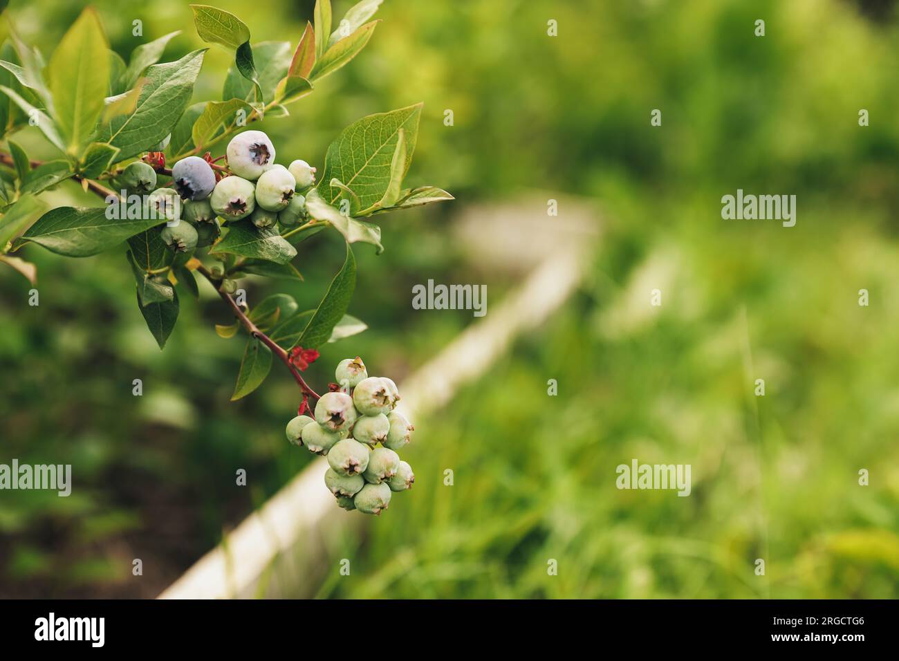 Presenting various stages hi-res stock photography and images - Alamy