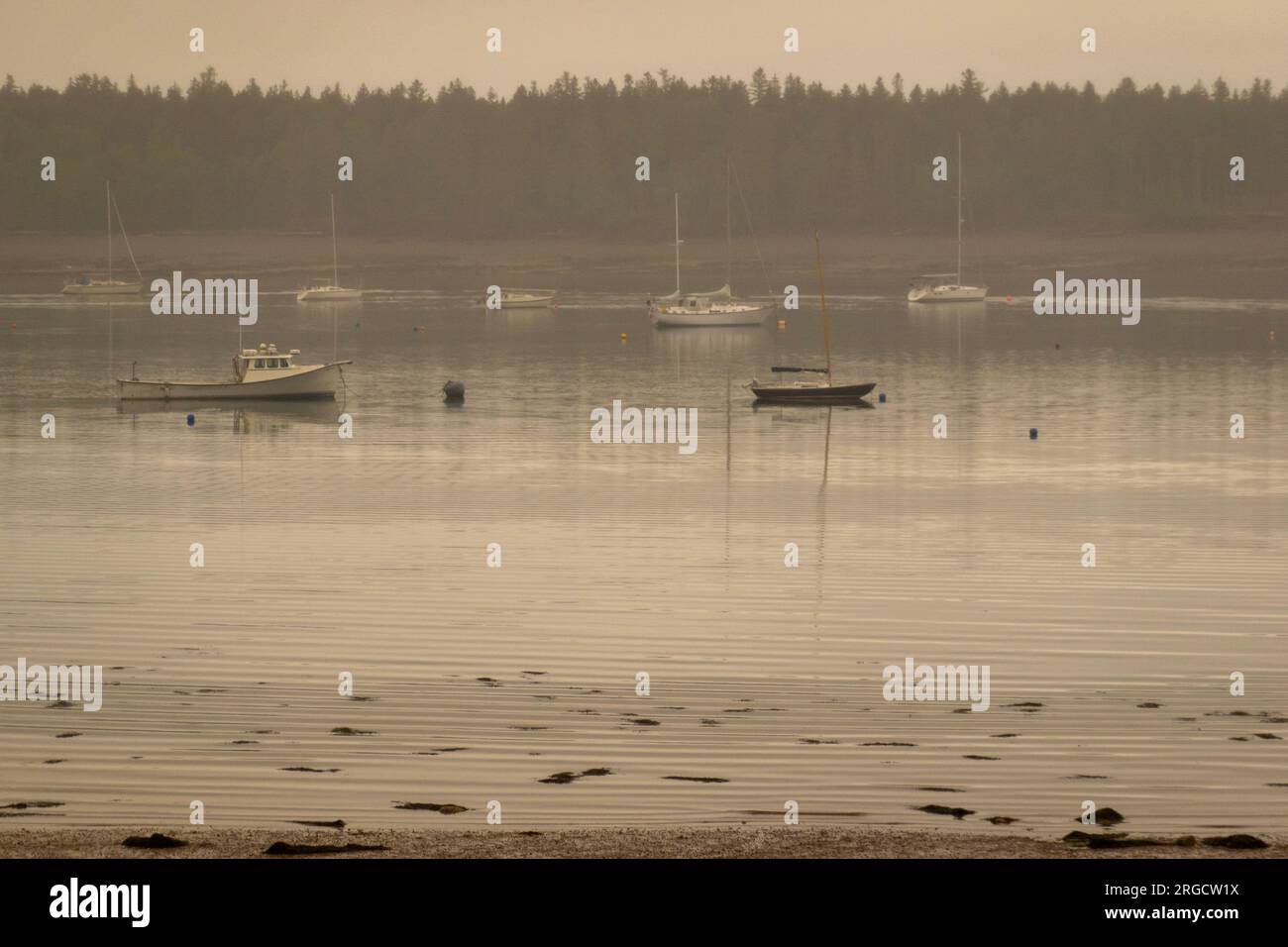 Fog foggy rain rainy daytime day boats boat harbor rocks hi-res stock ...