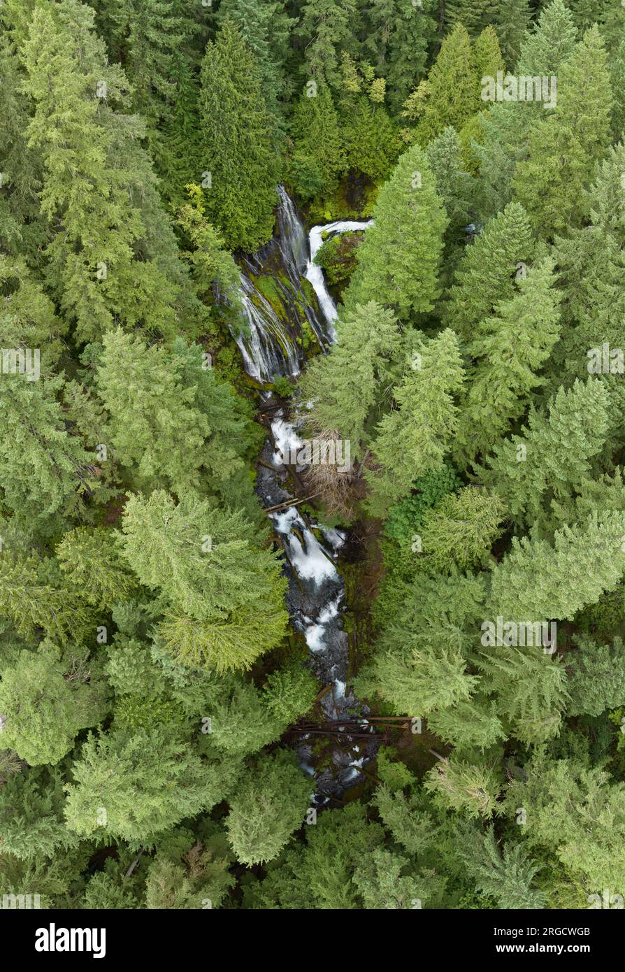 Seen from a bird's eye perspective, the impressive Panther Creek Falls ...