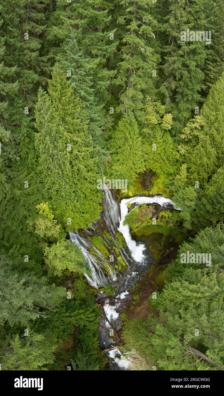 Seen from a bird's eye perspective, the impressive Panther Creek Falls ...