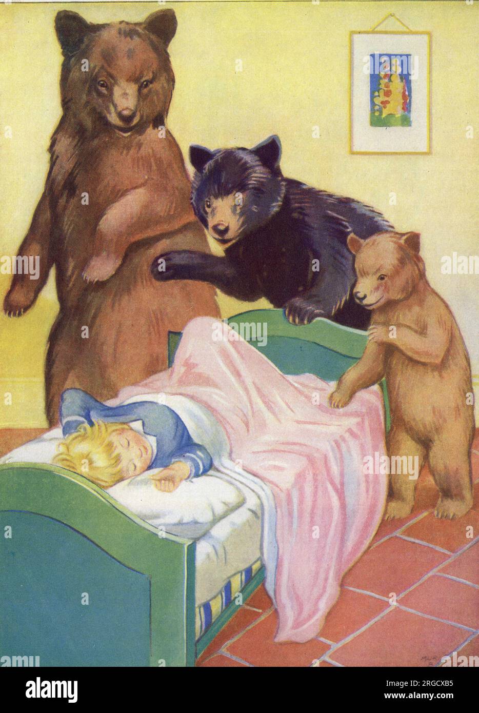 Baby Bear Goldilocks