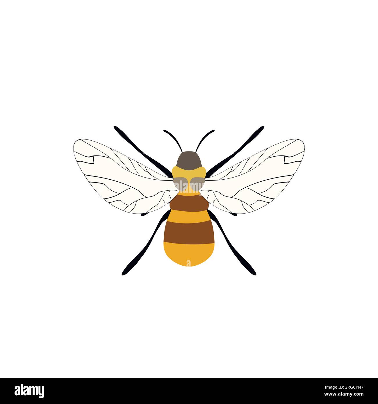 Cartoon bee mascot. A small bees flies. Wasp collection. Vector ...