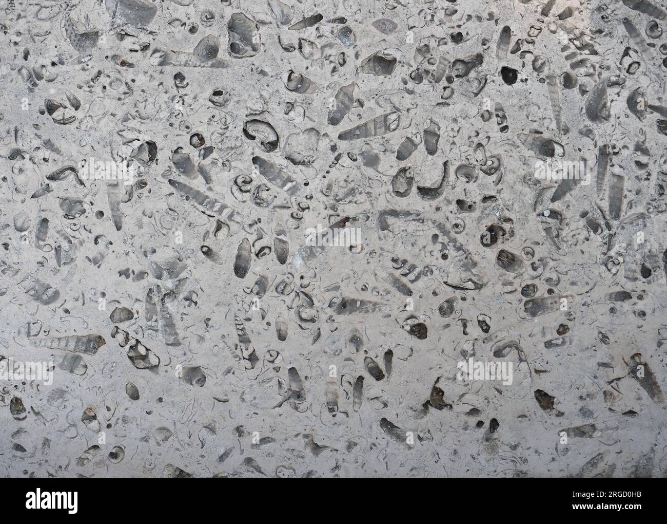 Portland stone texture hi-res stock photography and images - Alamy