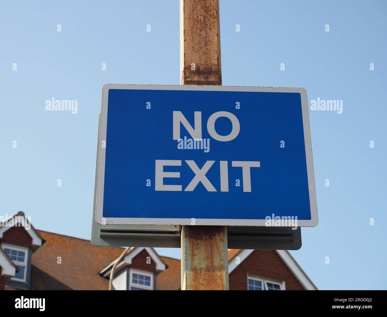 no exit traffic sign in white over blue Stock Photo - Alamy