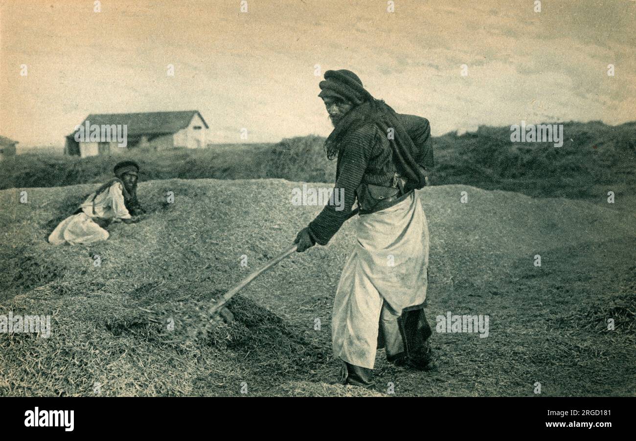 Chaff hi-res stock photography and images - Alamy