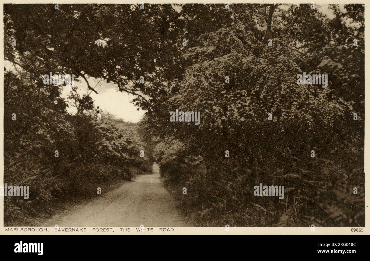 Savernake road hi-res stock photography and images - Alamy