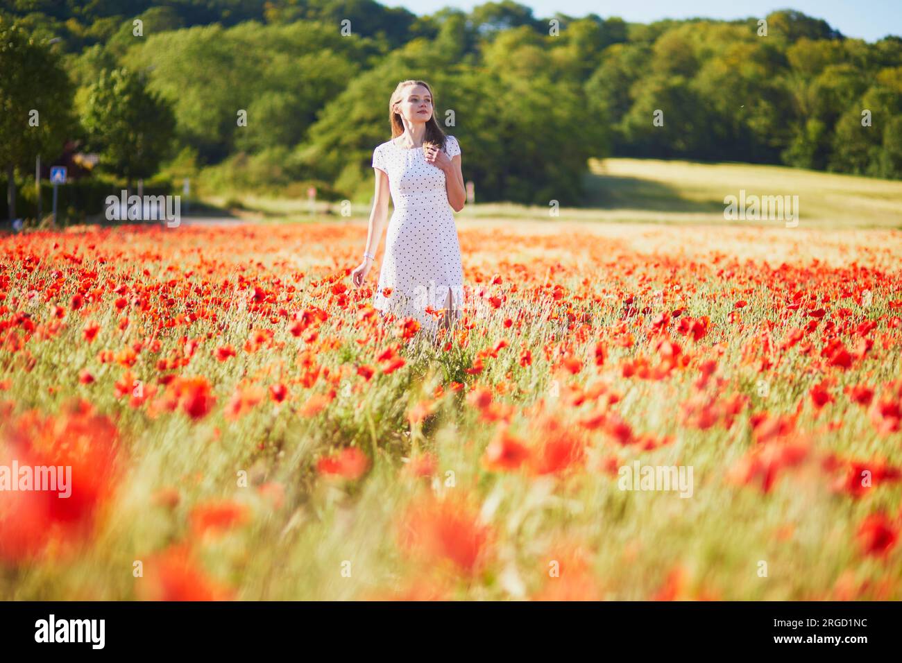 Beautiful Young Woman In White Dress Walking In Poppy Field On A Summer