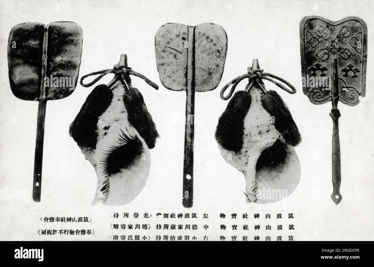 Two Horagai, traditional Japanese conch shell trumpets flanked by three ...