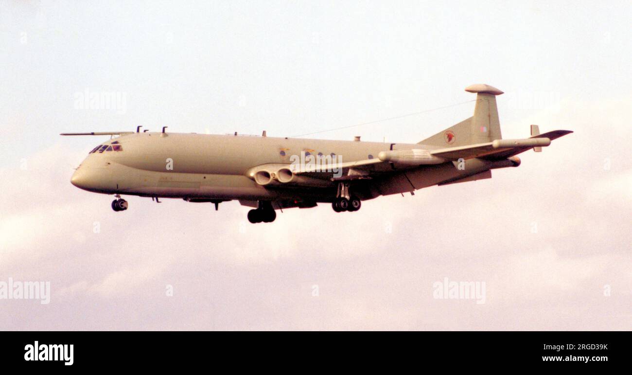 Raf nimrod aircraft hi-res stock photography and images - Alamy