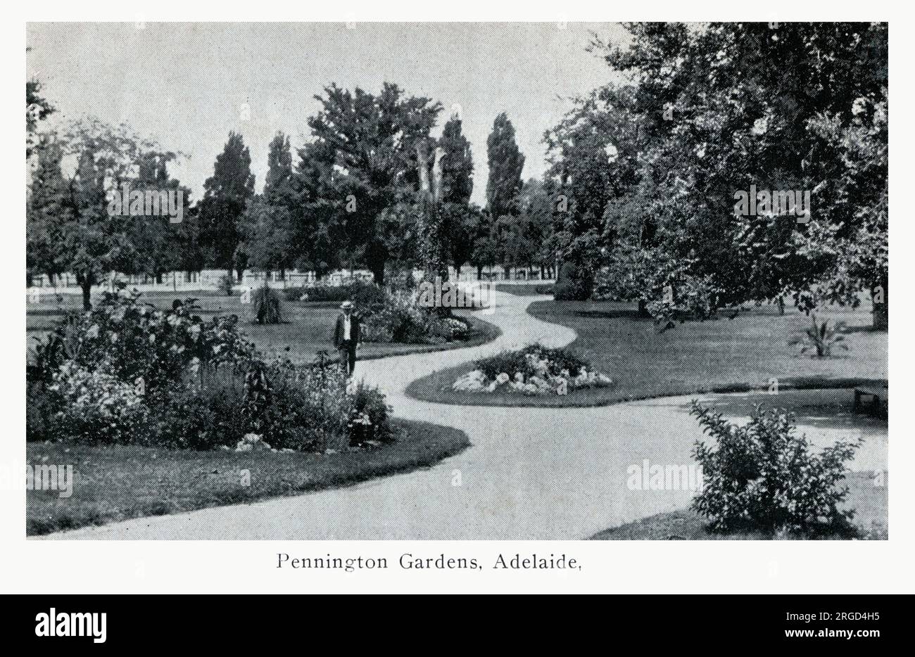 Adelaide, Australia - Pennington Gardens Stock Photo - Alamy
