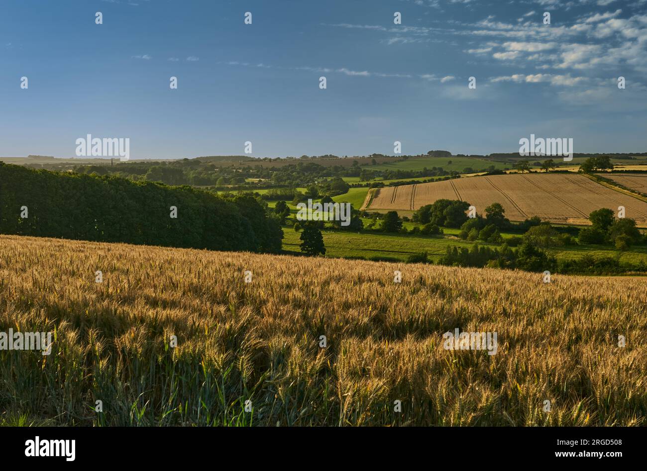 View over fields and rolling hills in English countryside during summer ...