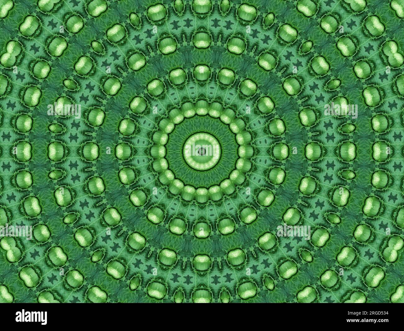 Radial symmetry nature hi-res stock photography and images - Alamy