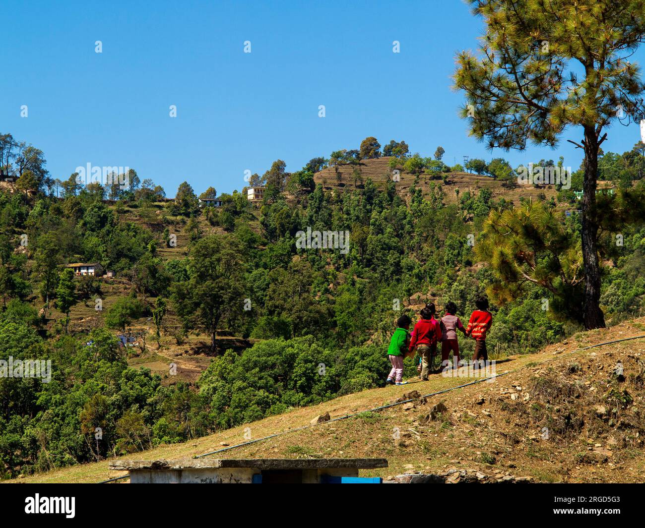 Indian kids going to the school, walking on the steep hills of Lamgara ...
