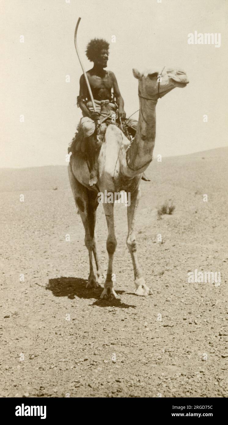 Camel photo hi-res stock photography and images - Alamy