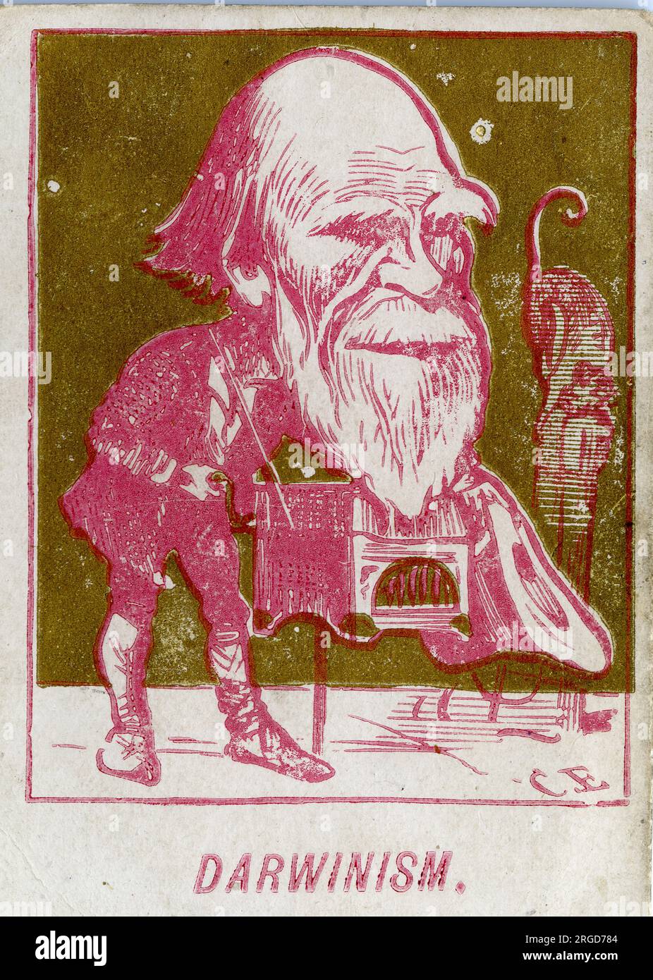 Charles Darwin humorous caricature, Darwinism Stock Photo - Alamy
