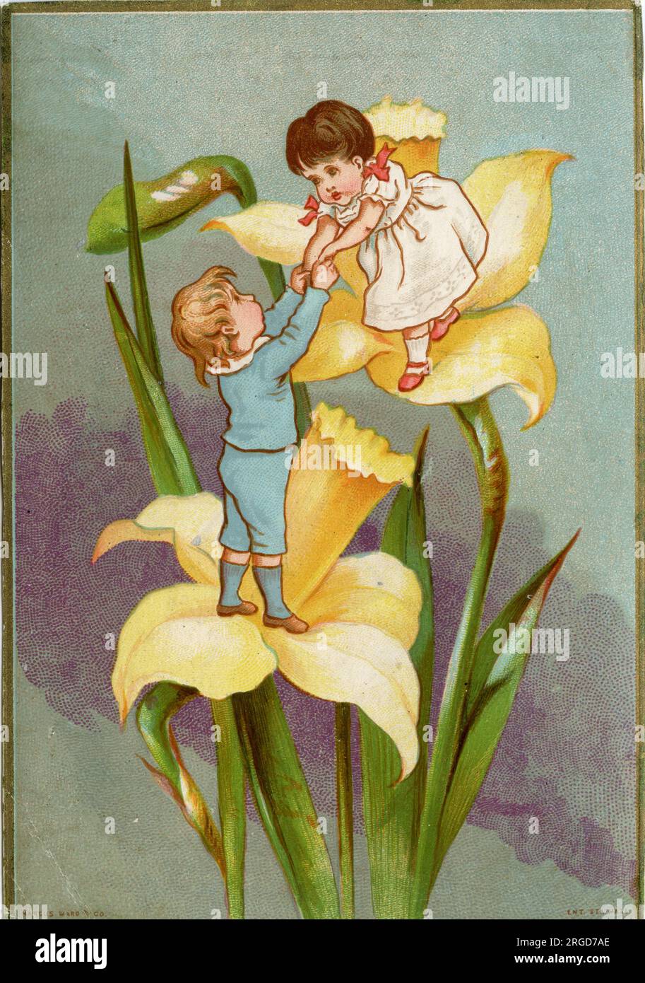 Daffodil Children by Kate Greenaway Stock Photo - Alamy