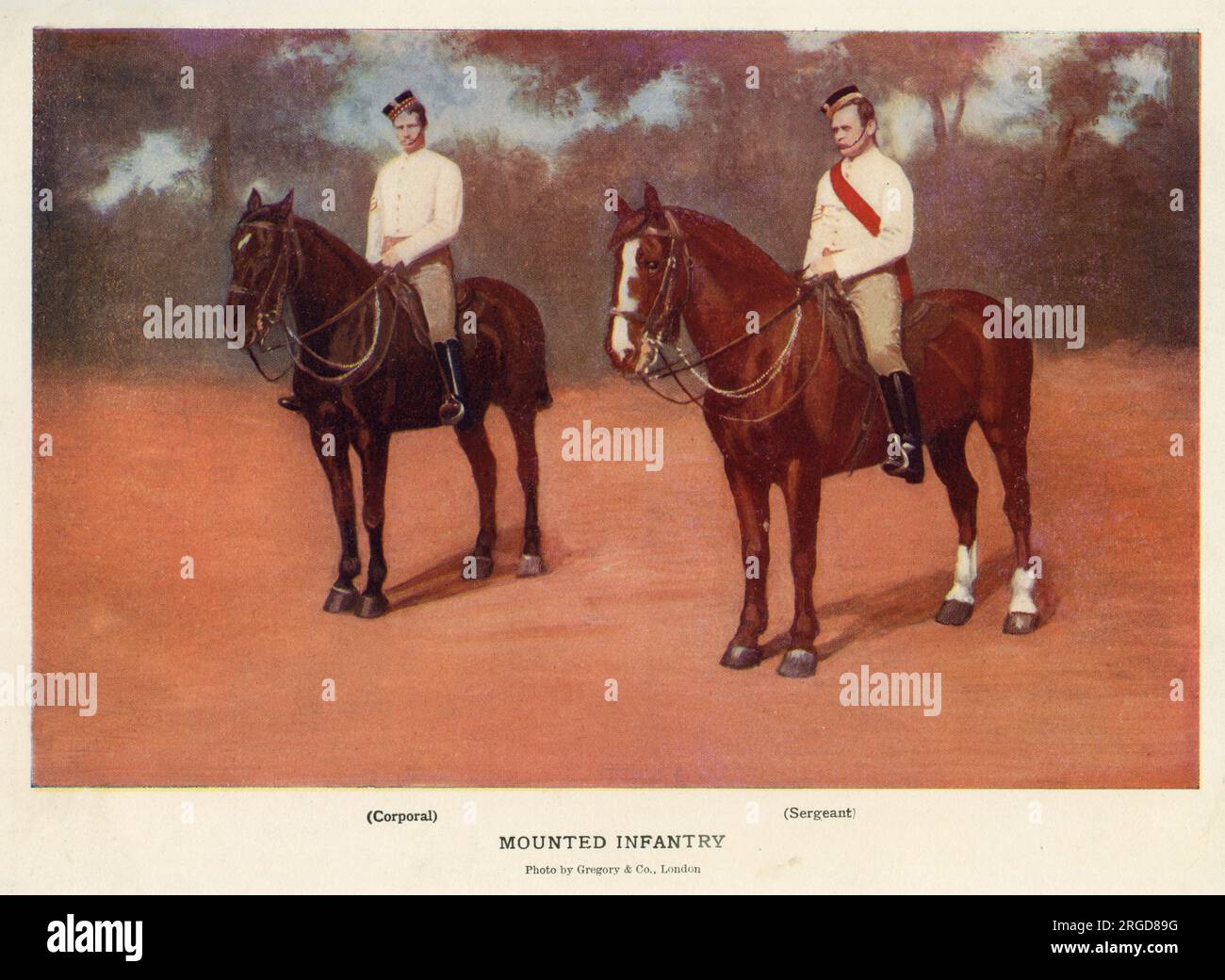 Corporal of horse hi-res stock photography and images - Alamy