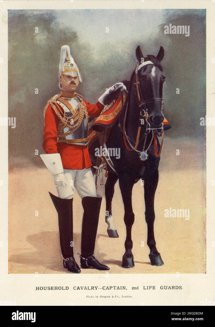 Household Cavalry, Captain , 2nd Life Guards Stock Photo - Alamy