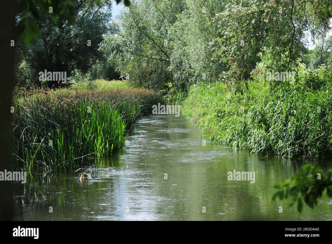 Oundle northamptonshire northants hi-res stock photography and images ...