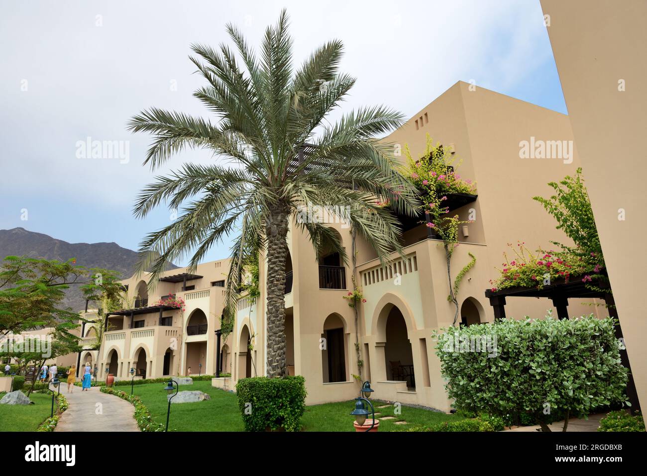 Arabic tree flower hi-res stock photography and images - Alamy