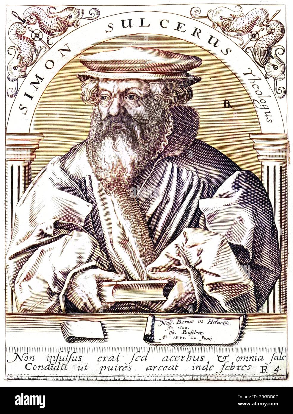 Sulcer hi-res stock photography and images - Alamy