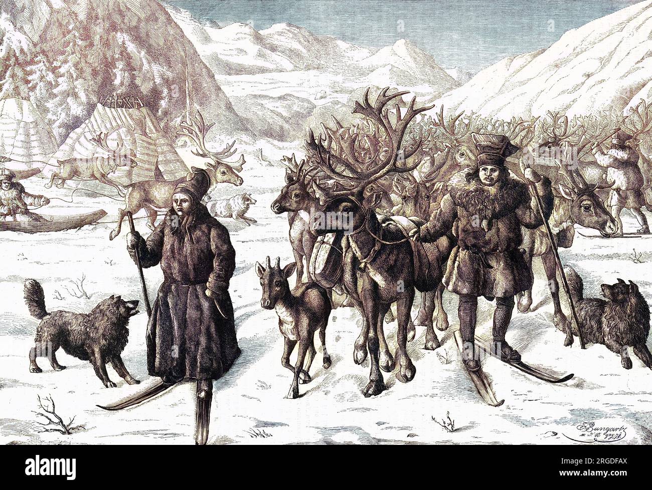 A reindeer herd in Lapland : the herdsmen are on skis, and use ...