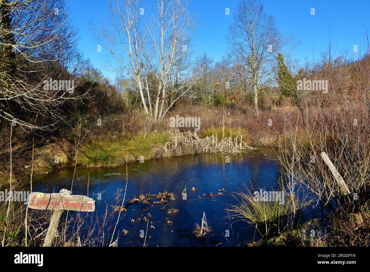 Small pond in blue color and a swampy landscape behind near Beka in ...