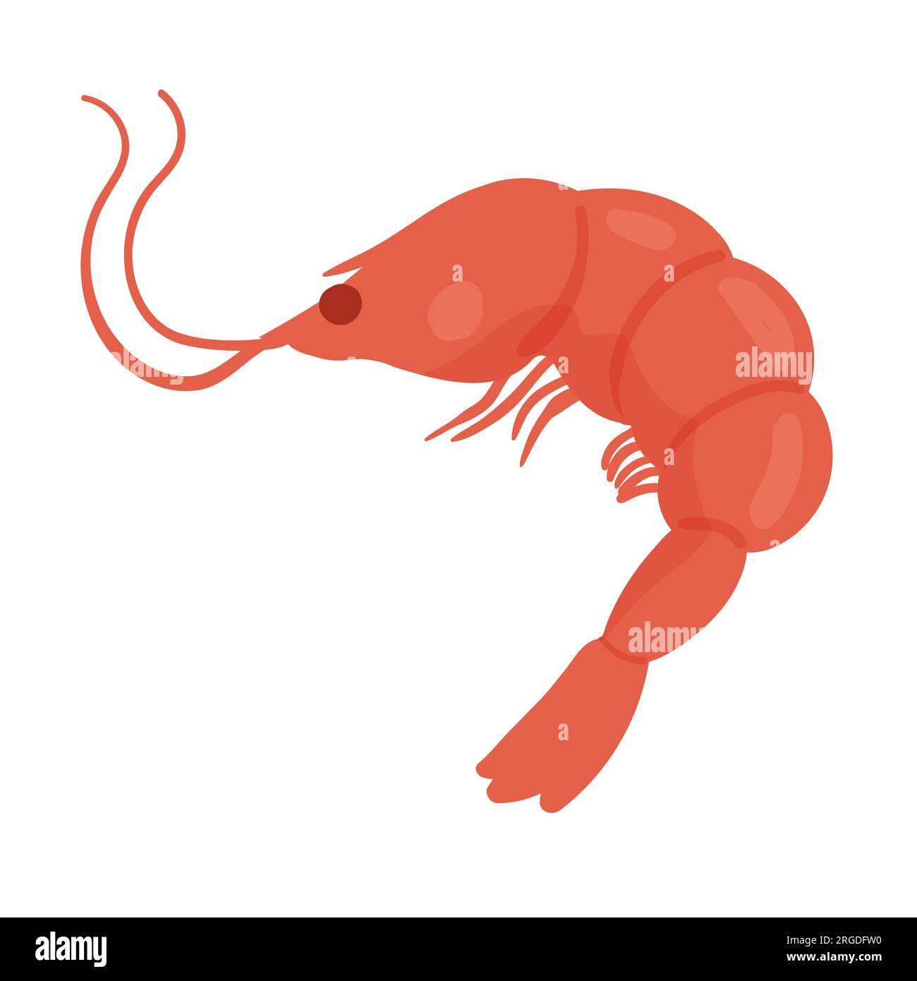 Raw seafood shrimp. Sea animal, seafood menu, shrimp dish and salad ...