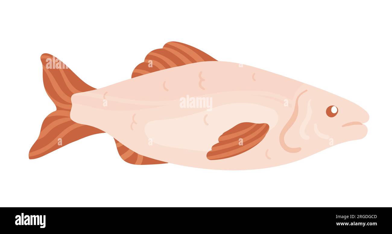 Whole salmon fish. Raw red fish fillet, healthy seafood menu, water ...