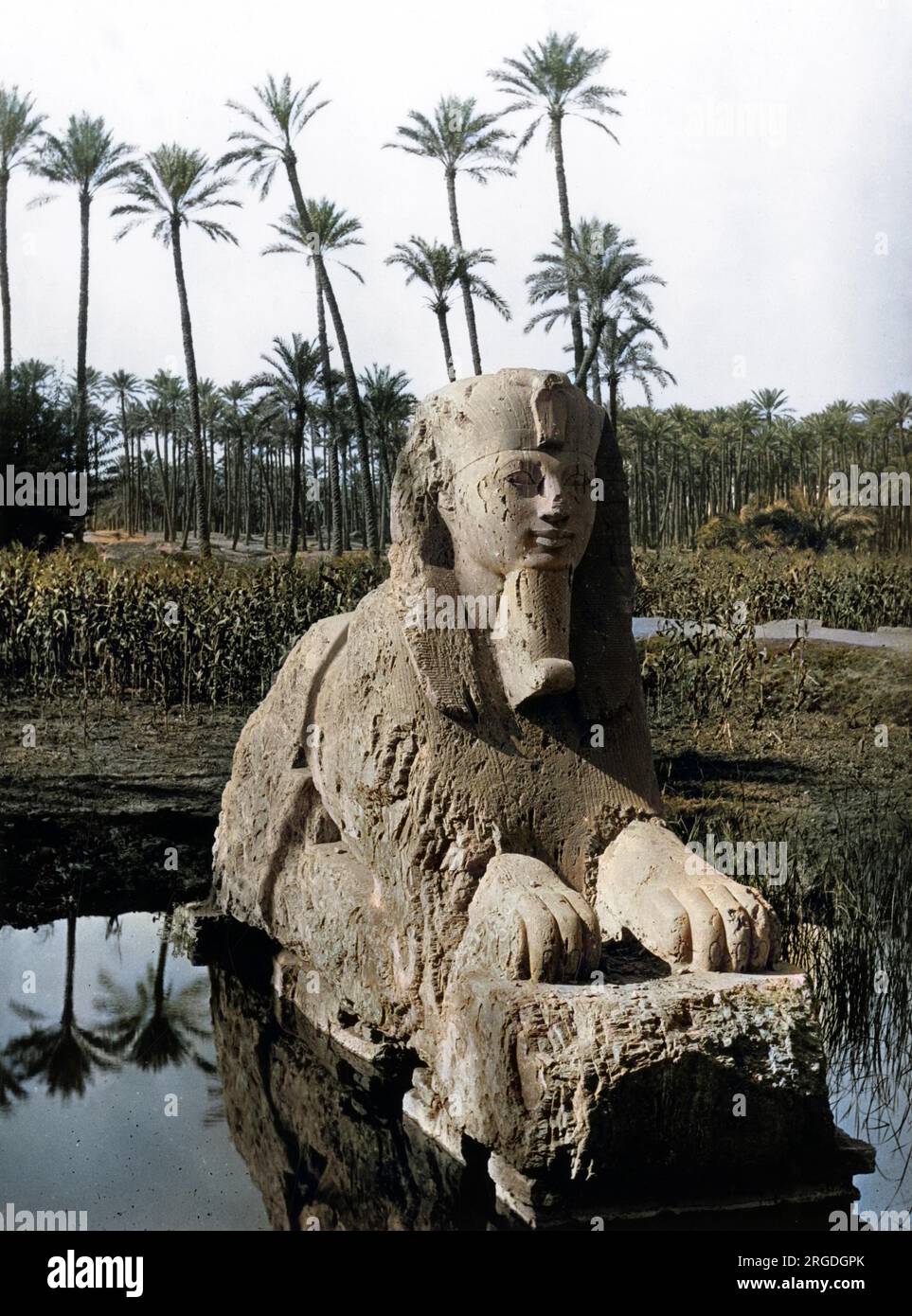 Sphinx by memphis hi-res stock photography and images - Alamy