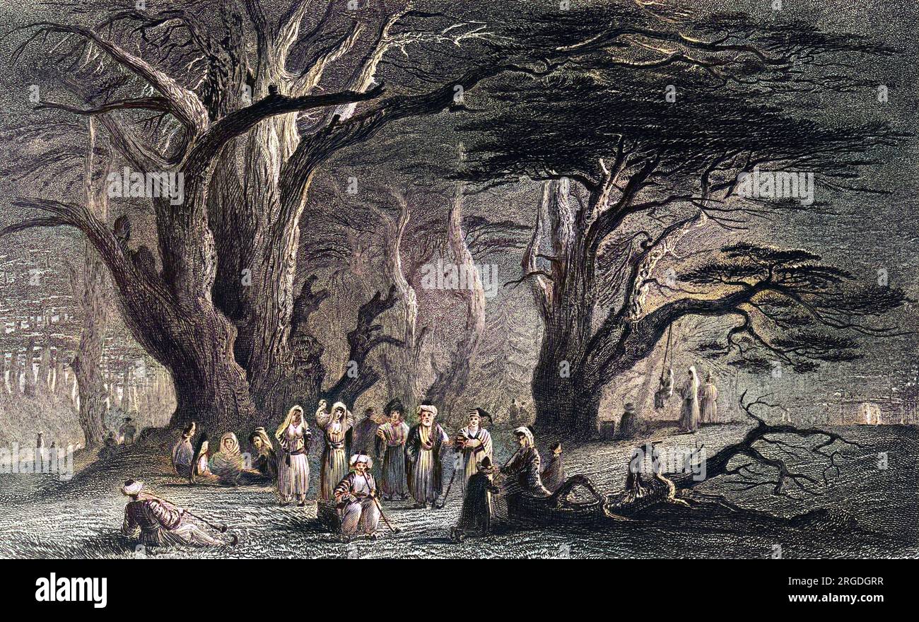 The cedar trees for which Lebanon was famous in biblical times Stock ...