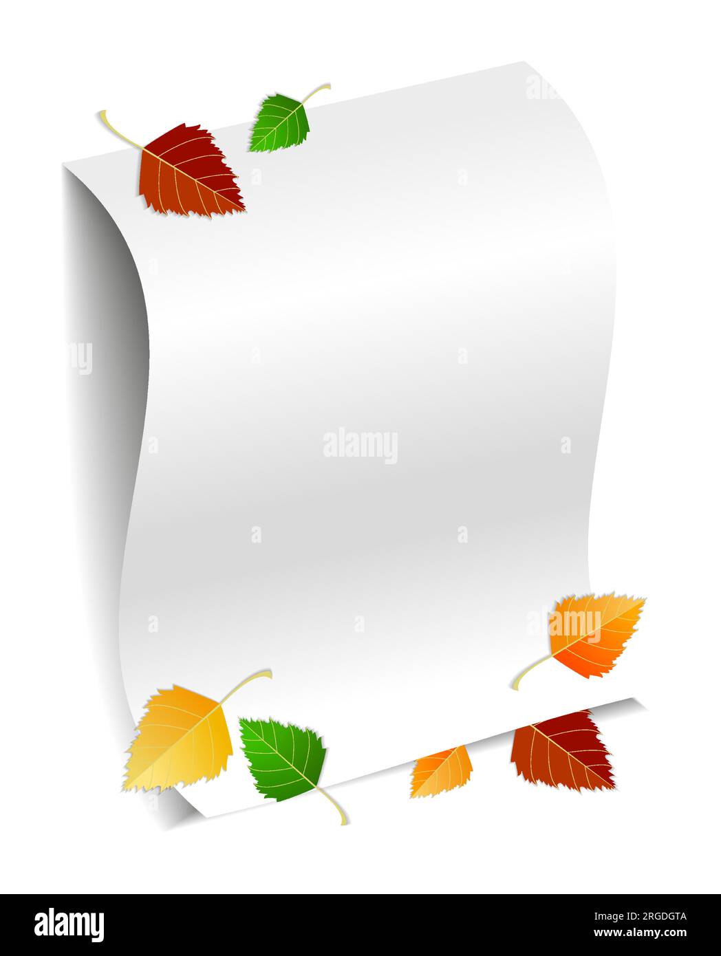 White sheet of A4 paper, with space for text, for your design. Next to ...