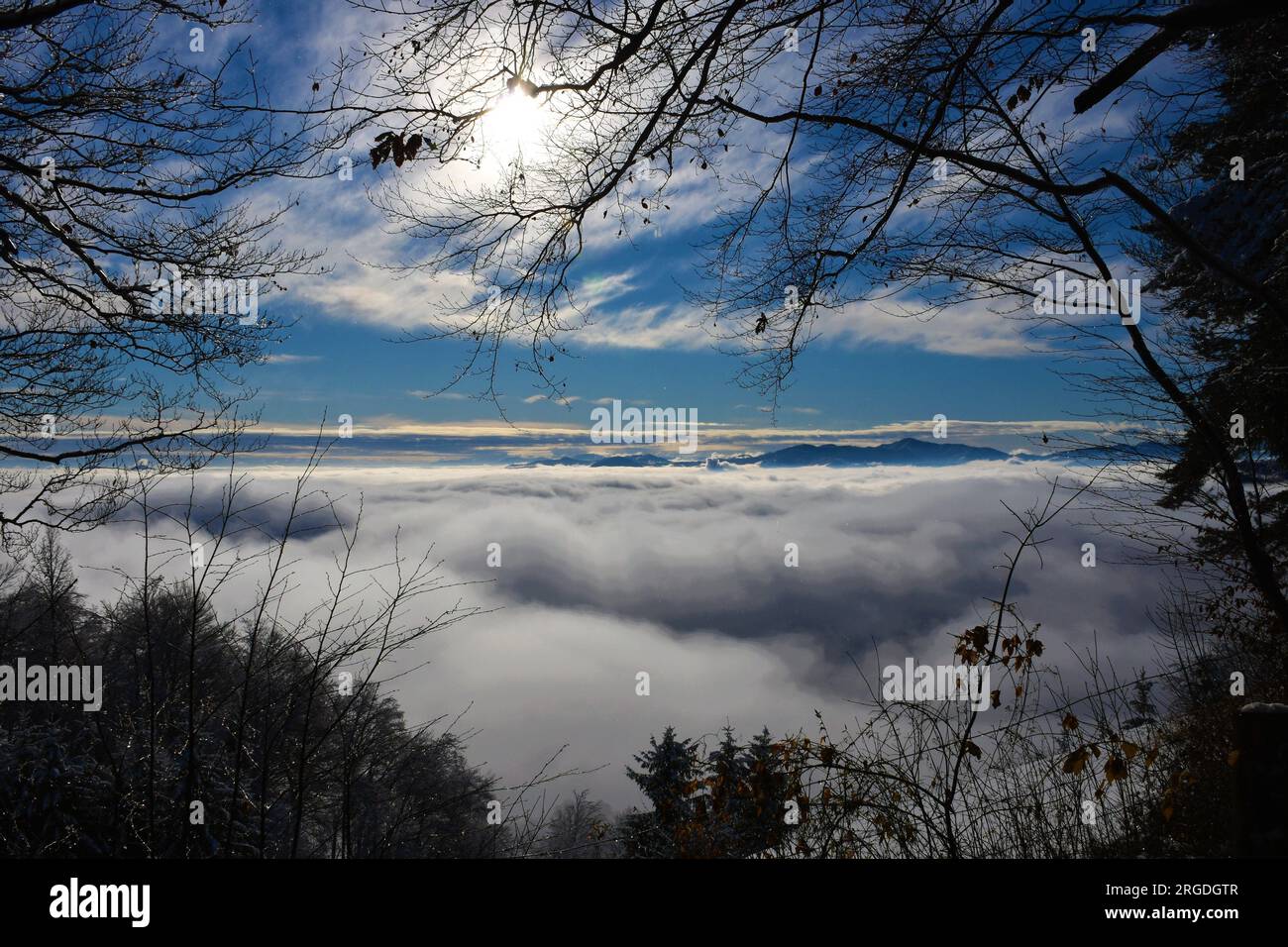 Beautiful landscape fog covering hills hi-res stock photography and ...