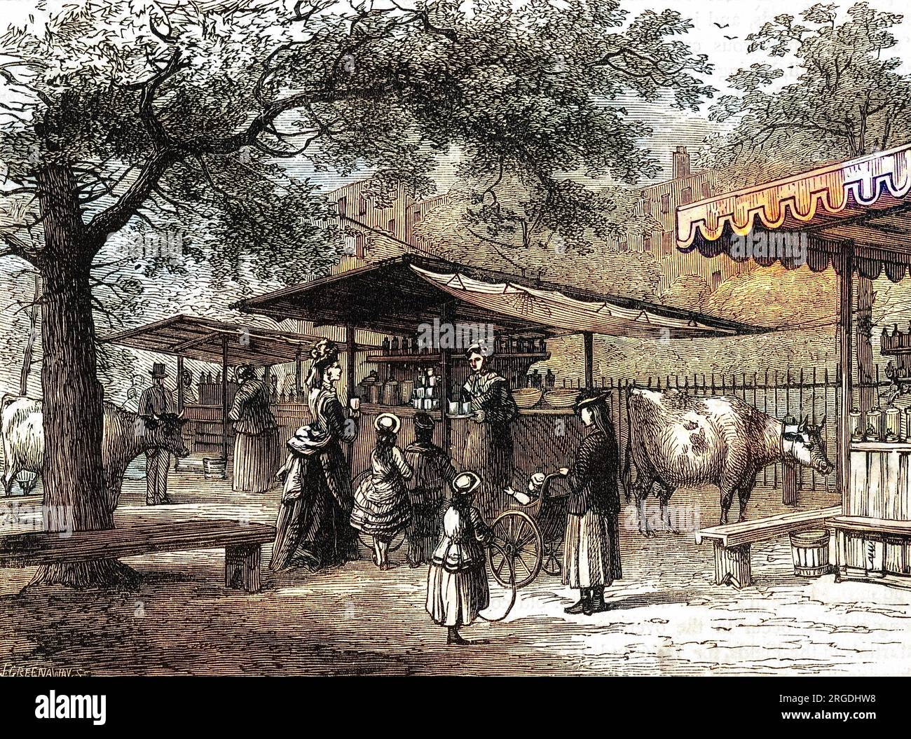 The Milk Fair in St James's Park, where children were given milk fresh ...