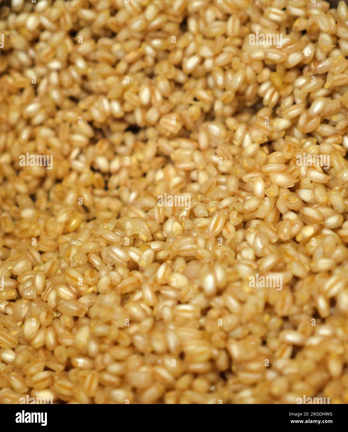 Soup boiled wheat grains hi-res stock photography and images - Alamy