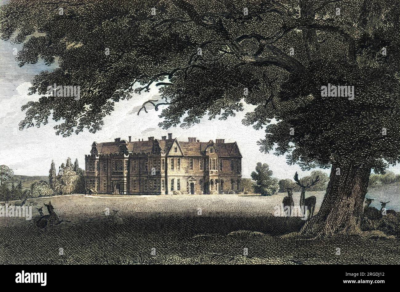 Albyns, Essex, the seat of John R Abdy Stock Photo - Alamy